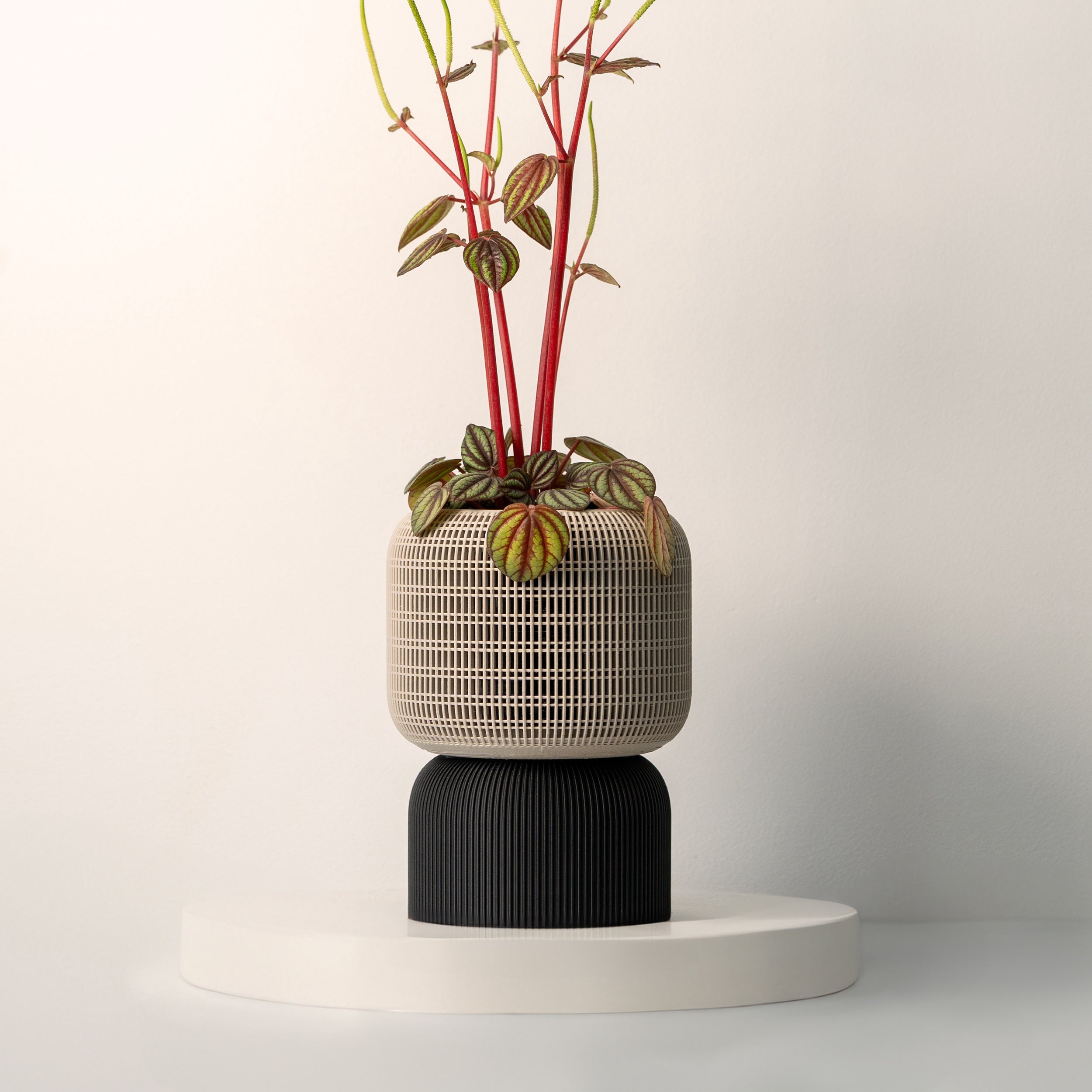 VerdiPot™ Air Pruning & Self-Watering Planter - Cocoon Collection