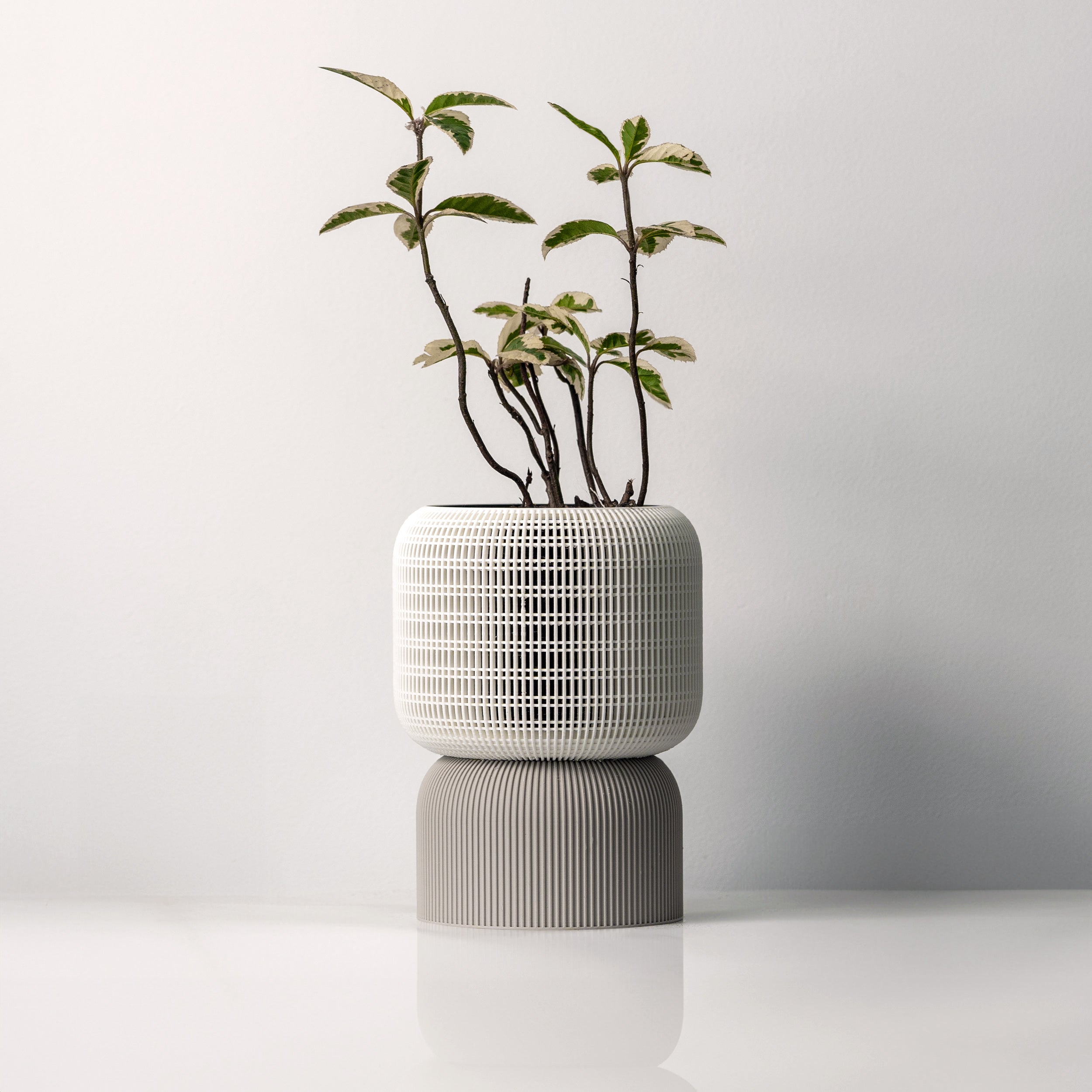 COCOON SELF-WATERING & AIR PRUNING PLANTER | VerdiPot Easy Care, Eco ...