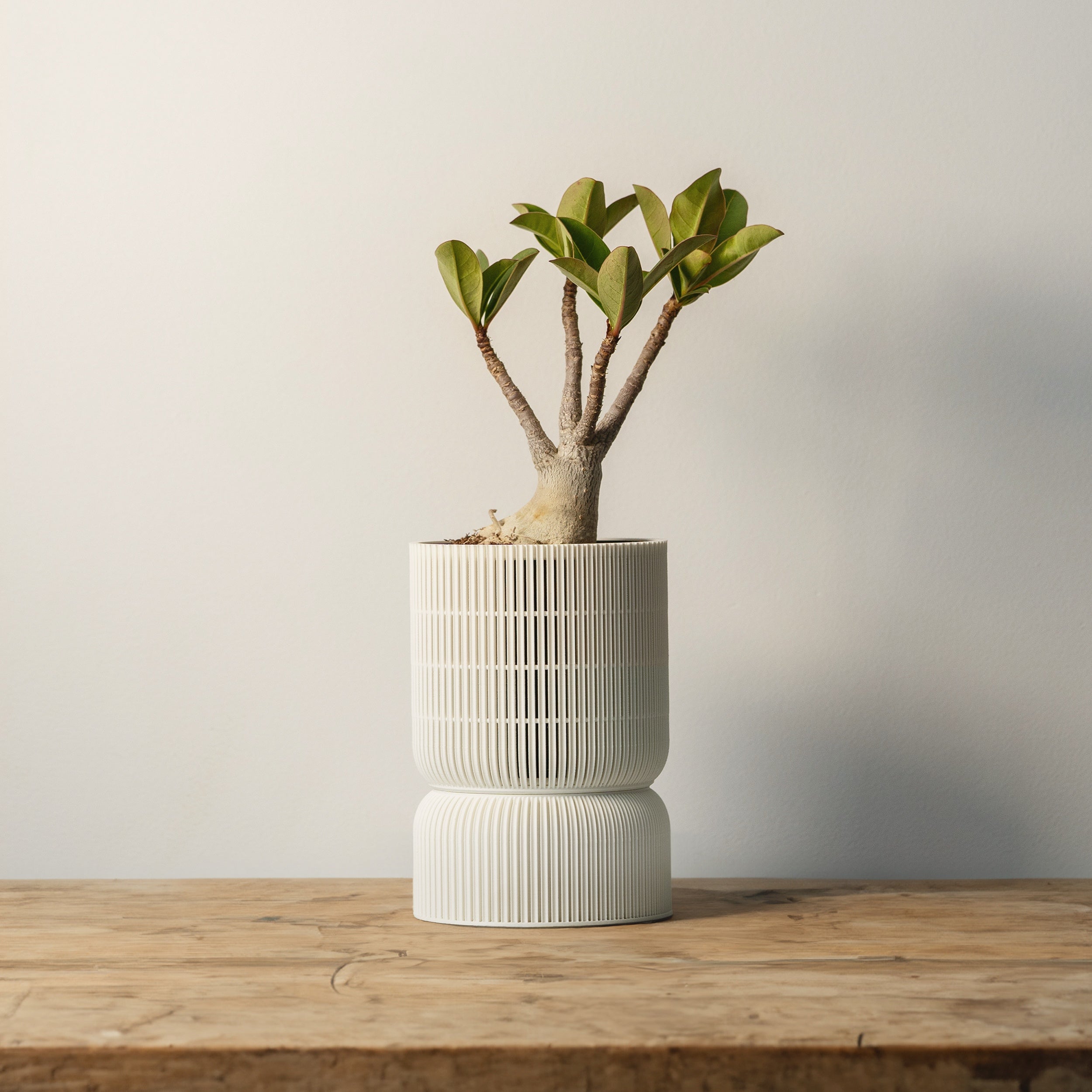 VerdiPot™ Air Pruning & Self-Watering Planter - Reflection Collection ...
